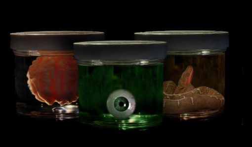 Halloween Specimen Jars - The Decorologist