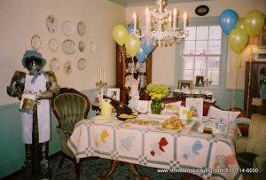Little House on the Prairie Party - The Decorologist
