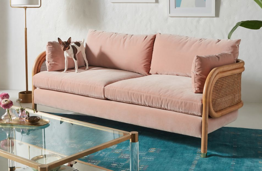 The New Neutral for Sofas - The Decorologist