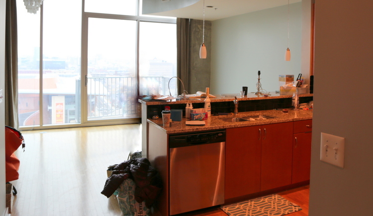 Mid Century Modern Design in a Nashville Condo - The Decorologist