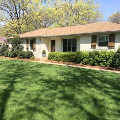 Crieve Hall Tour of Homes & 2019 Decorating Trends - The Decorologist